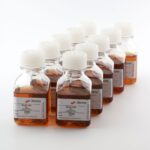 FBS (dialyzed) | Silantes