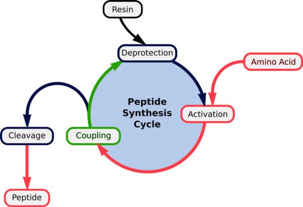 Solid Phase Peptide Synthesis with Isotope Labeling | Silantes